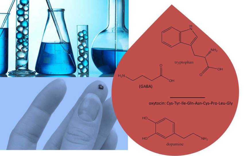 Methods | Affective Brain lab