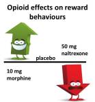 Methods | Affective Brain lab