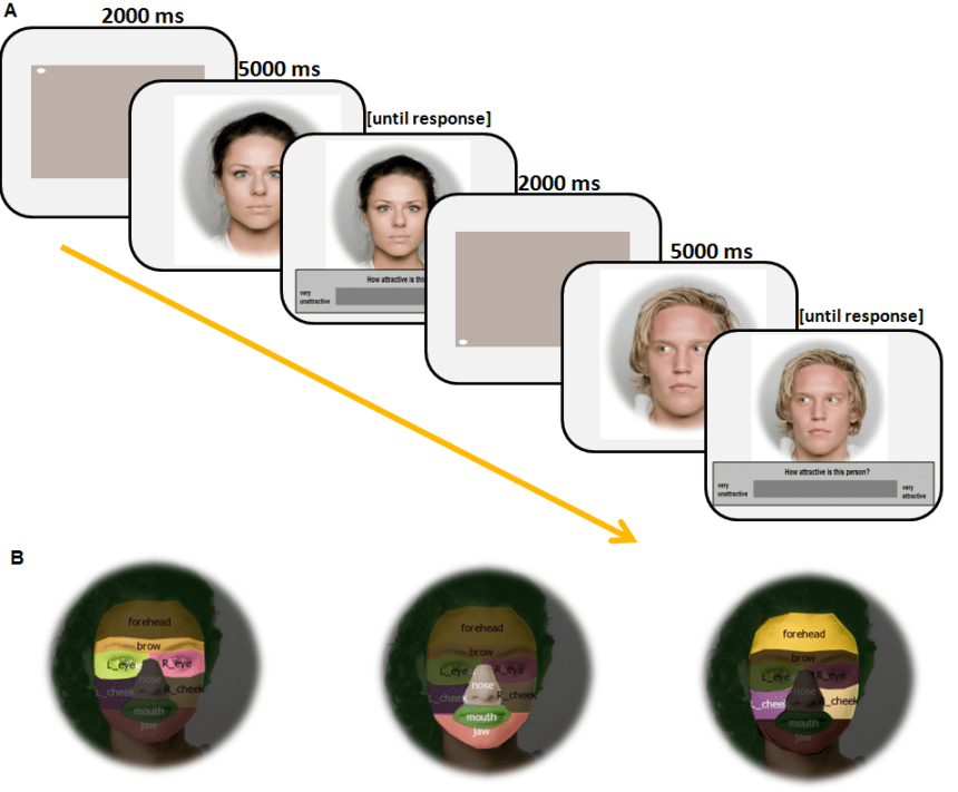 Oslo Face Database | Affective Brain lab