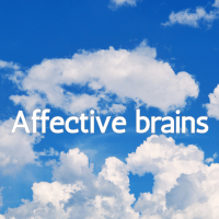 Publications | Affective Brain lab